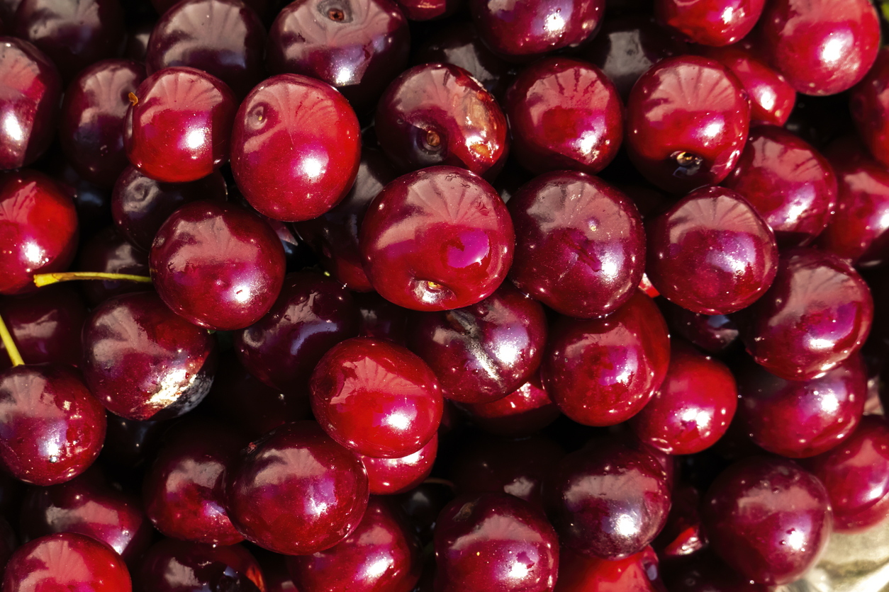 The Axia Institute | Delivering Value Chain Solutions®